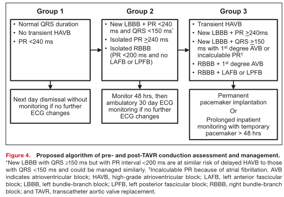 文献速递 | 经导管主动脉瓣置换术后高度房室传导阻滞的发生率、发生时间及预测因素 -- 严道脑血管网